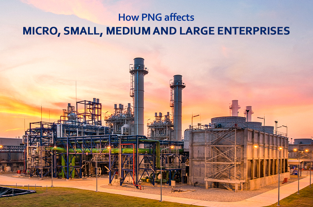 How PNG affects Micro, Small, Medium, and Large Enterprises - IOAGPL